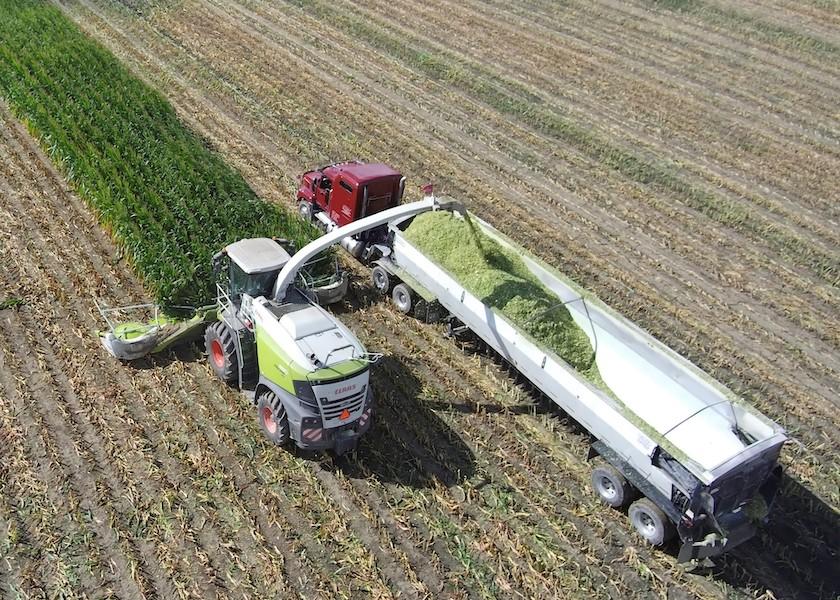Put A True Value On Corn Silage Dairy Herd Put A True Value On Corn Silage Dairy Herd